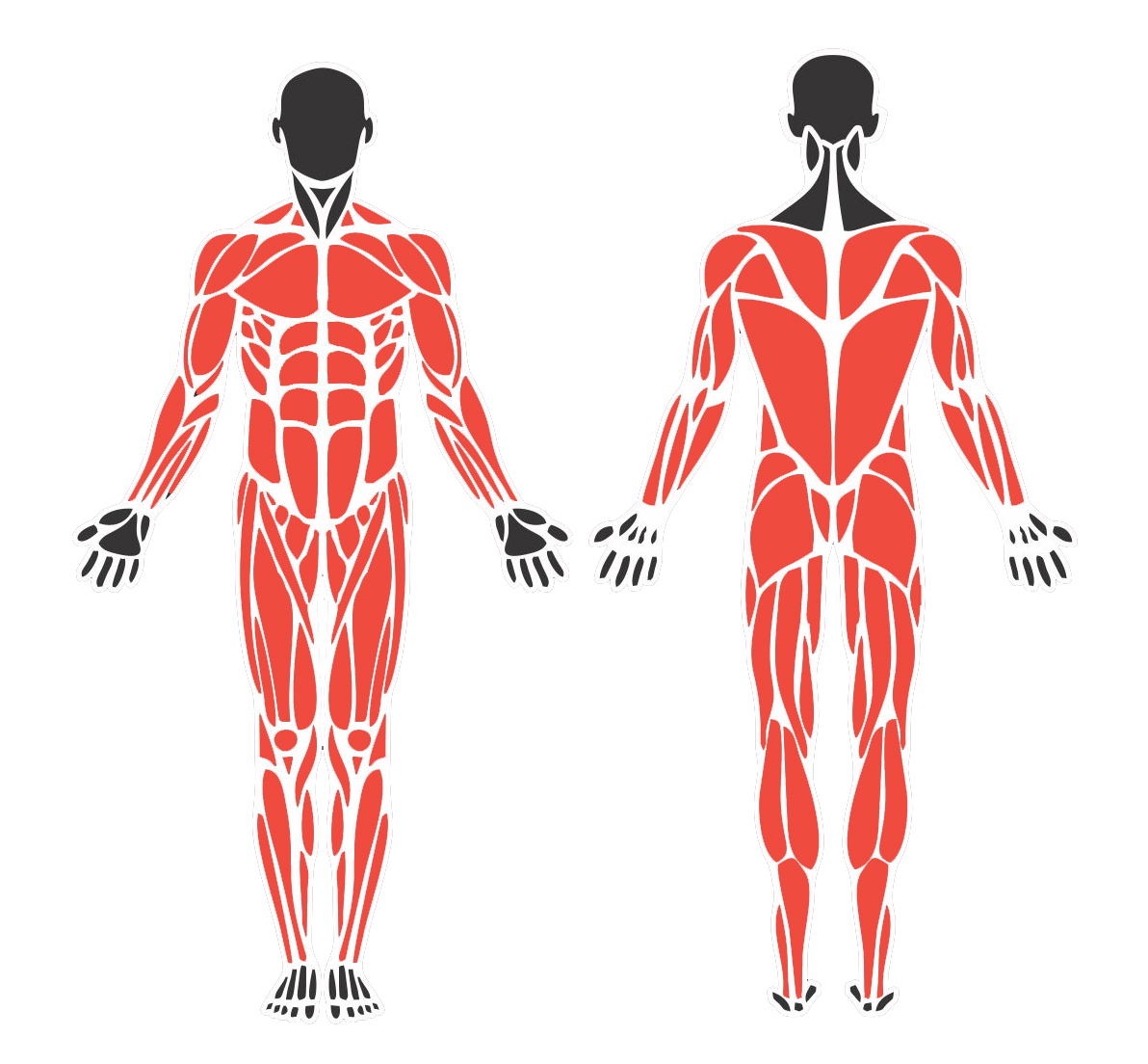 Cross Over Angular 45º OriGym - OriGym Fitness Equipamentos